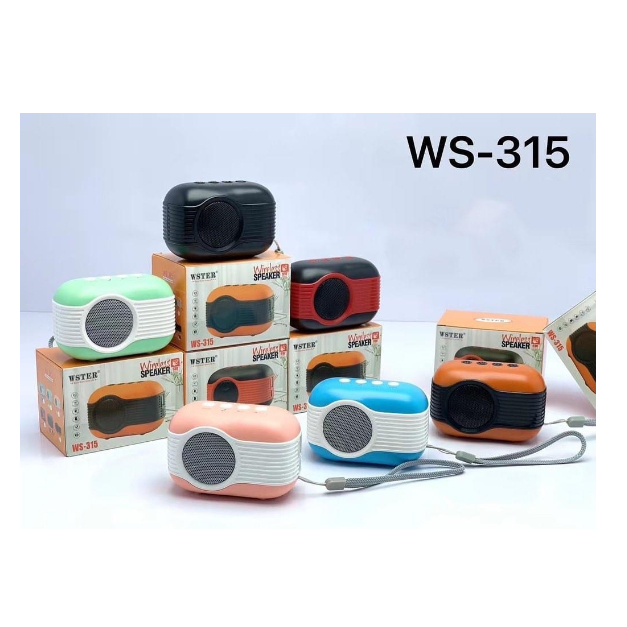 Loa Bluetooth Mini WSTER WS-315 Black(5W, USB, Có khe thẻ nhớ, FM ...