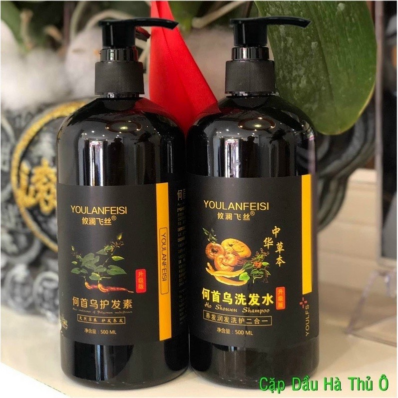 Cặp dầu gội - Xả 500ML dưỡng sinh Hà Thủ Ô - Linh Chi | Shopee Việt Nam