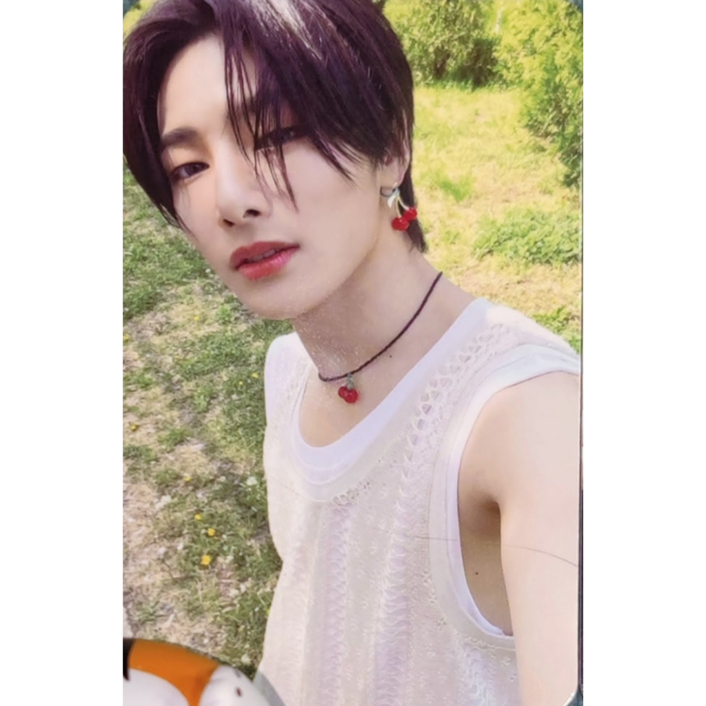 Card ảnh bo góc album các đợt Maxident 5-Star Stray Kids chính hãng ...