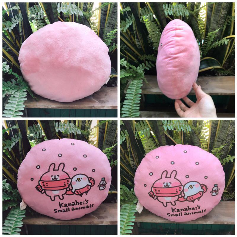 Gấu bông vịt Piske & thỏ hồng Usagi (2hand) | Shopee Việt Nam