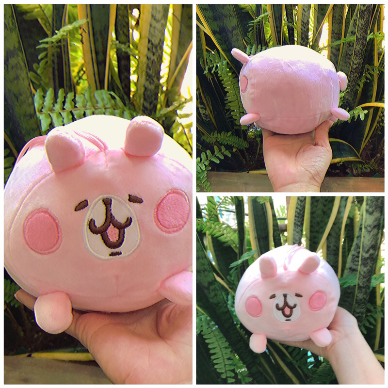 Gấu bông vịt Piske & thỏ hồng Usagi (2hand) | Shopee Việt Nam