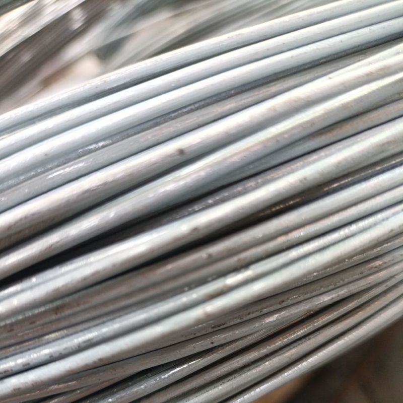 dây thép buộc mạ kẽm 2ly (10m) | Shopee Việt Nam