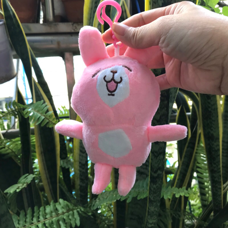 Gấu bông vịt Piske & thỏ hồng Usagi (2hand) | Shopee Việt Nam