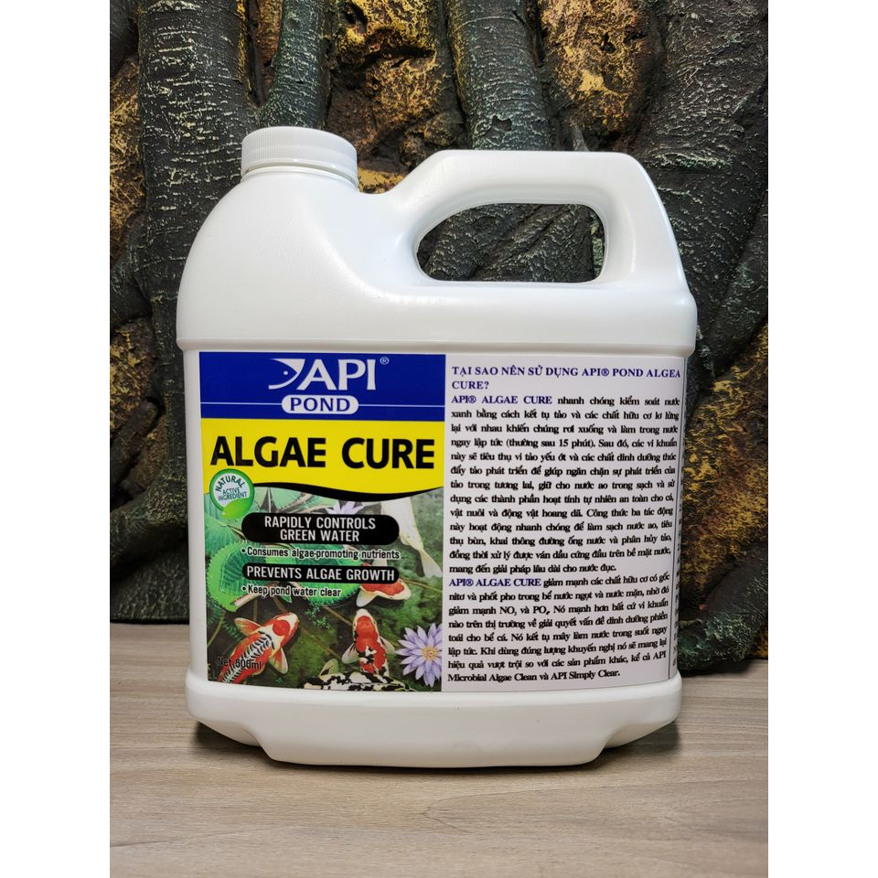 API - Algae Cure 1890 ml - Vi sinh ăn tảo Sống và kết tụ mây siêu trong ...