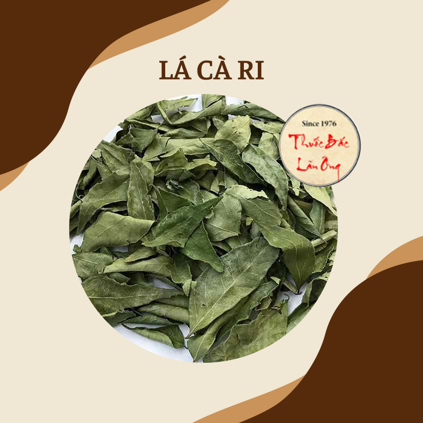 Lá cà ri Ấn Độ 100g, curry leaves, gia vị nấu cà ry, cari khô, thơm ...