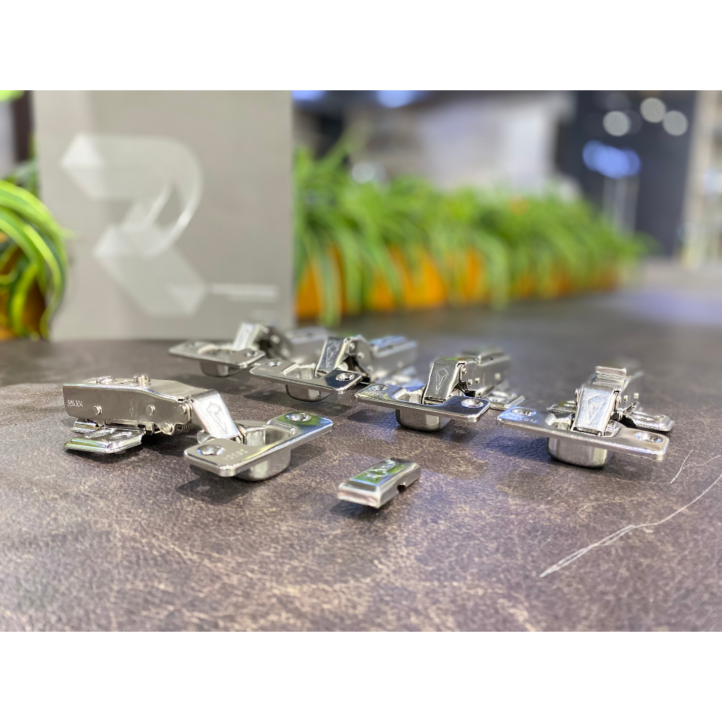 Bản Lề Giảm Chấn INOX Cao Cấp ROXANA R040A/B/C | Shopee Việt Nam