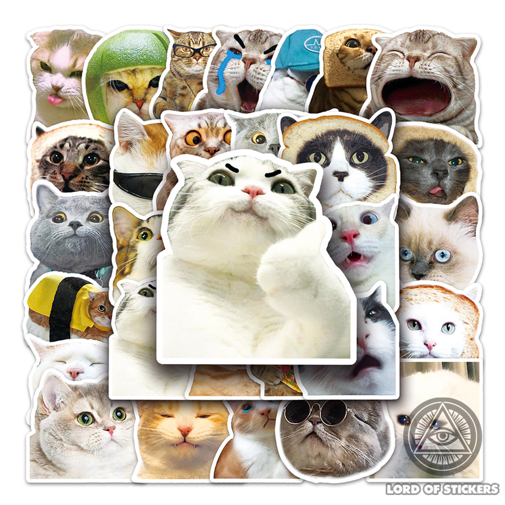 Set 50 Sticker Meme Mèo Cute Hài Hước, Hình Dán Chống Thấm Nước Trang ...