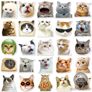 Set 50 Sticker Meme Mèo Cute Hài Hước, Hình Dán Chống Thấm Nước Trang ...
