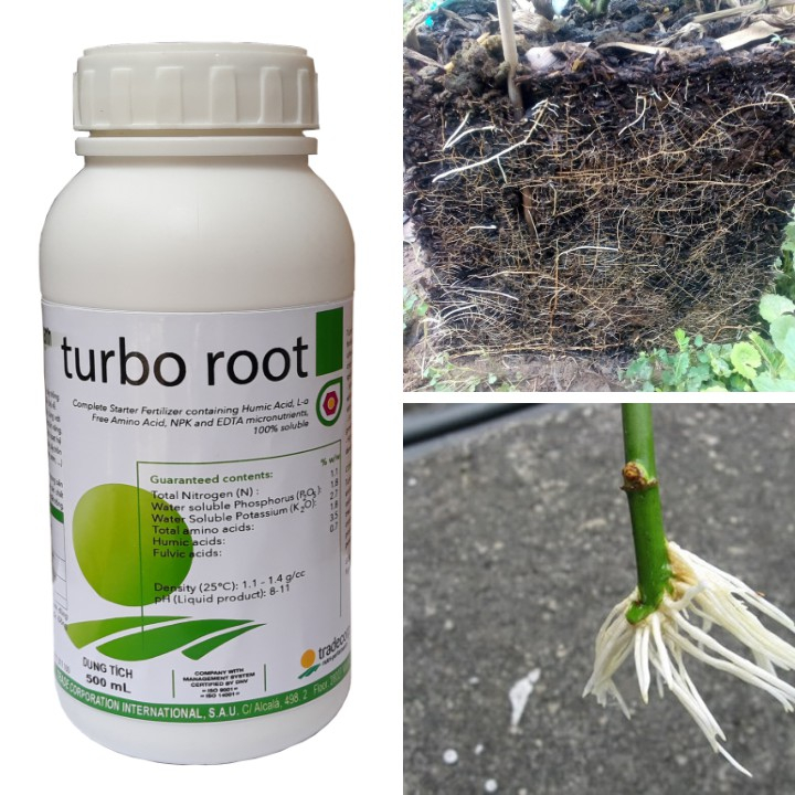 Phân bón turbo root chai 100ml, 500ml, 1000ml, màu đen đậm đặc, phân ...