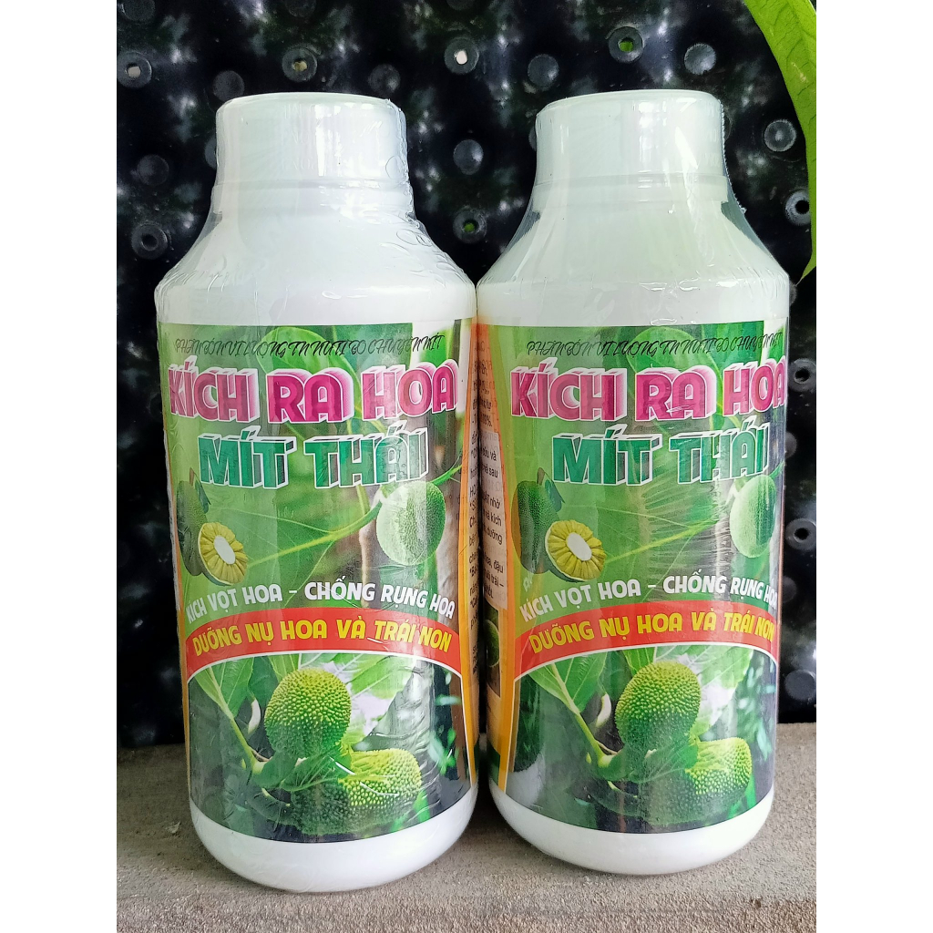 RA HOA MÍT THÁI. Kích vọt hoa - chống rụng hoa Dưỡng nụ hoa và trái non ...
