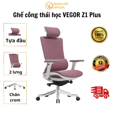 Ghế văn phòng công thái học bảo vệ cột sống gật gù tư thế 35 độ Thương ...