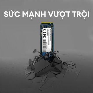 Ổ cứng SSD Dynabook (Toshiba) Boost AX3600 dung lượng 128GB/256GB/512GB ...