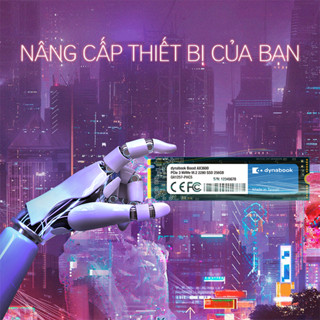 Ổ cứng SSD Dynabook (Toshiba) Boost AX3600 dung lượng 128GB/256GB/512GB ...