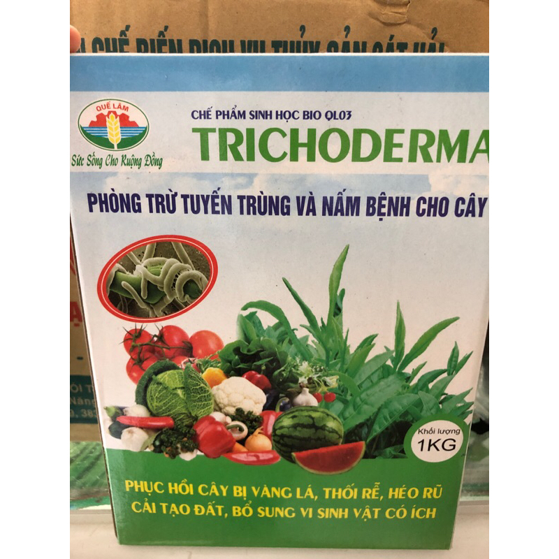 chế phẩm sinh học nấm TRICHODERMA hộp /1 kg | Shopee Việt Nam