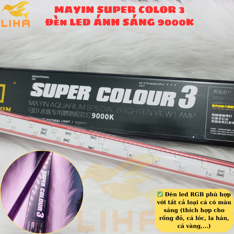 Đèn MAYIN SUPER COLOR 3 9000K - Đèn Led Cao Cấp Cho Huyết Long, Cá Lóc ...