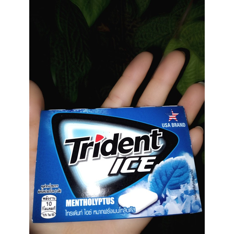 Kẹo Sing gum Trident Ice hộp 11.2g ( kẹo gum trident) | Shopee Việt Nam