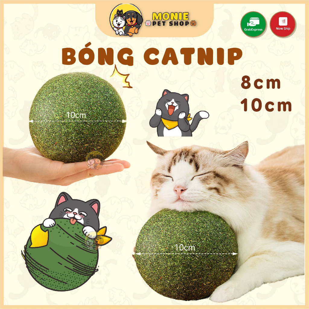 [Hỏa tốc] Bóng Catnip khổng lồ 10cm cho mèo, Catnip size lớn cho mèo ...