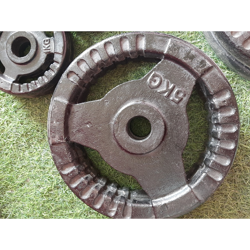 Tạ bánh gang 5kg - tập gym (1 bánh) | Shopee Việt Nam