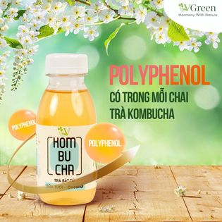 Trà bất tử Kombucha Light 100% lên men tự nhiên, nhiều lợi khuẩn thúc ...