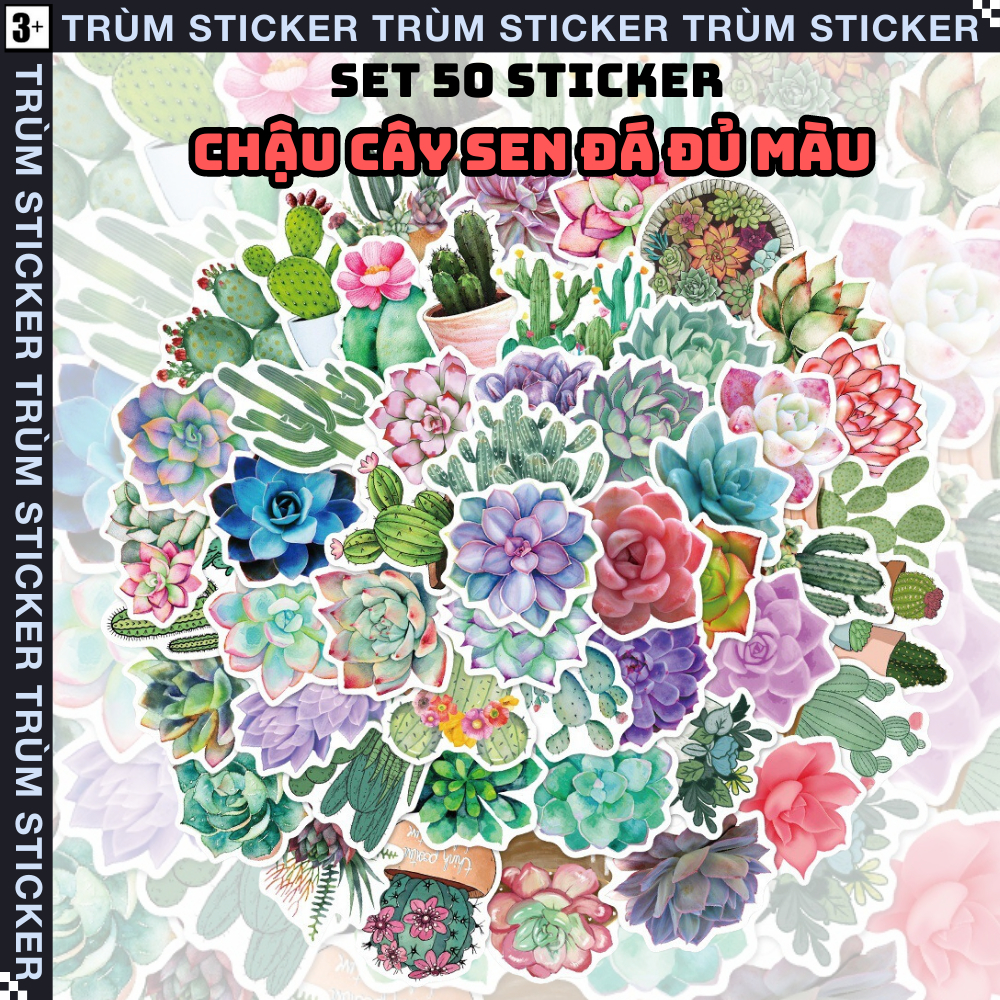 Set 50 Stickers, Sen Đá Dán Trang Trí Decor phong cách vintage Trang ...