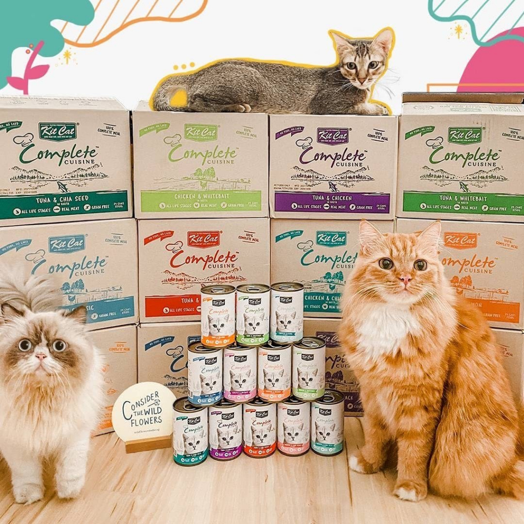 Pate Kit Cat Complete Cuisine cho mèo mọi lứa tuổi lon 150g | Shopee ...