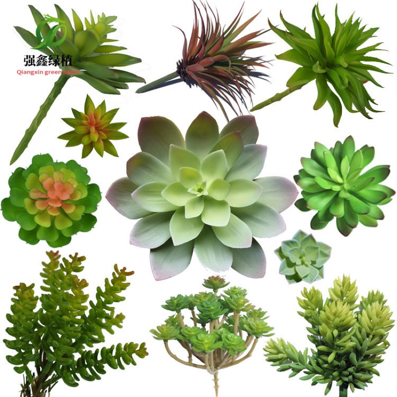 Sen đá giả nhiều mẫu, lá lan hồ điệp, phụ kiện cắm lan hồ điệp nhân tạo | Shopee Việt Nam