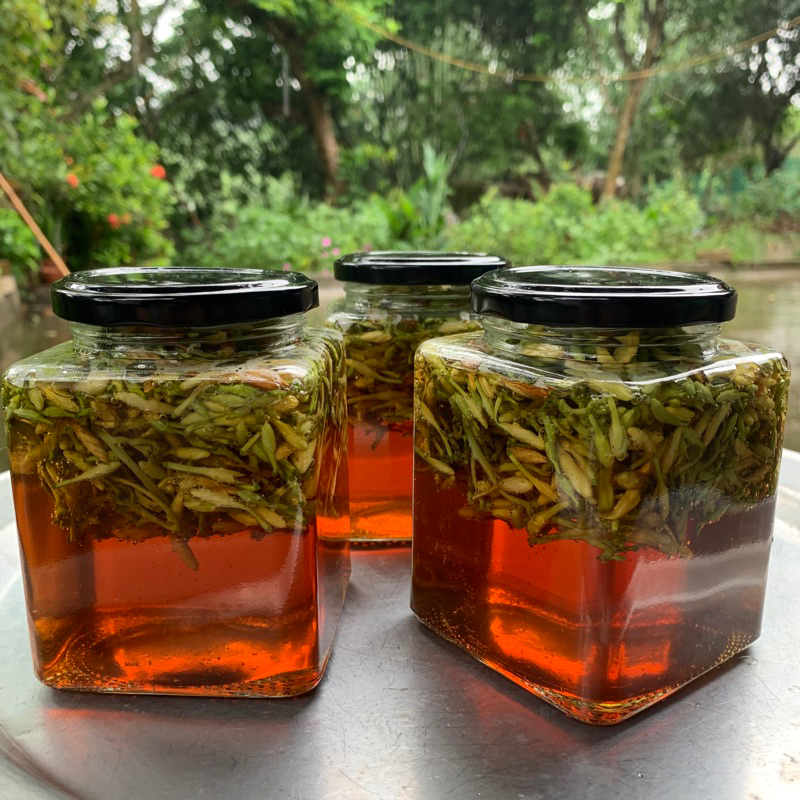 Mật ong ngâm hoa đu đủ đực 500ml | Shopee Việt Nam