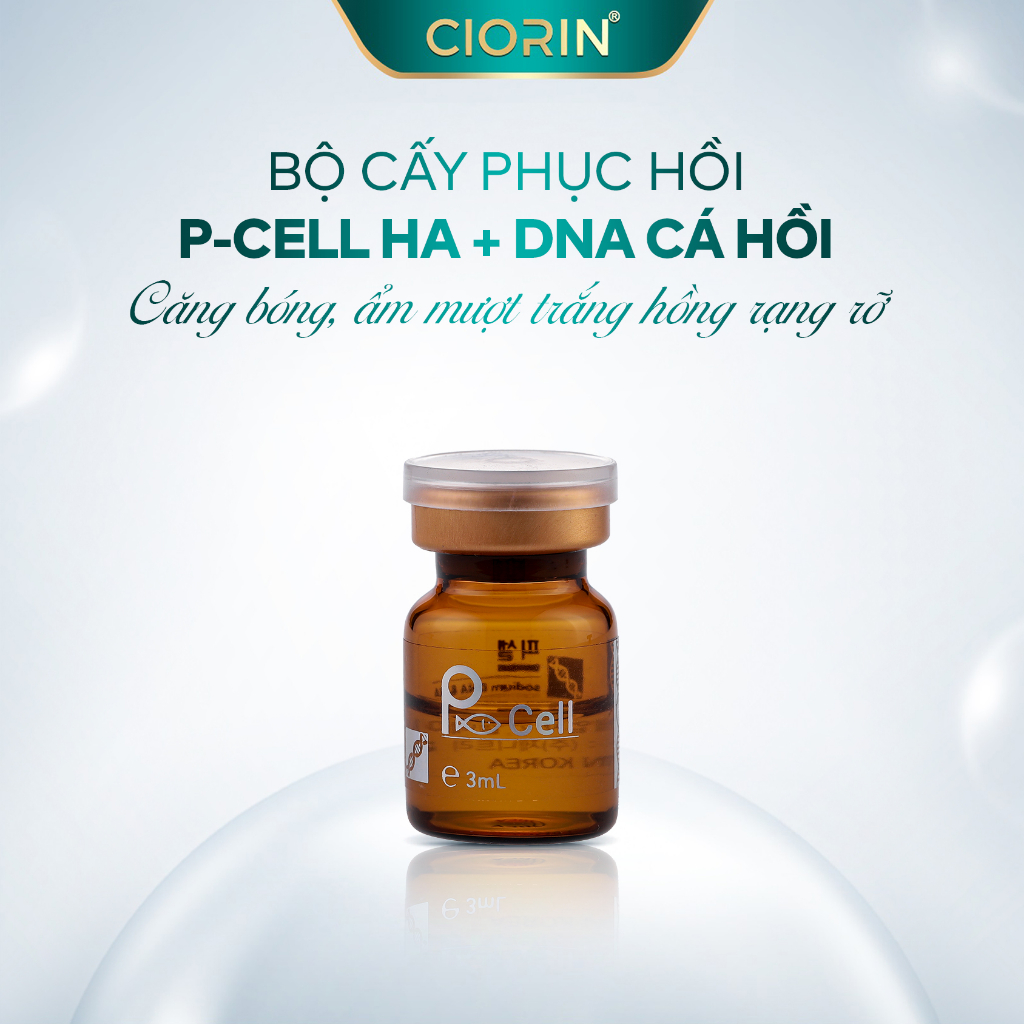 Combo Tinh Chất Cấy Meso Ciorin P'CELL HA + DNA Cá Hồi | Shopee Việt Nam