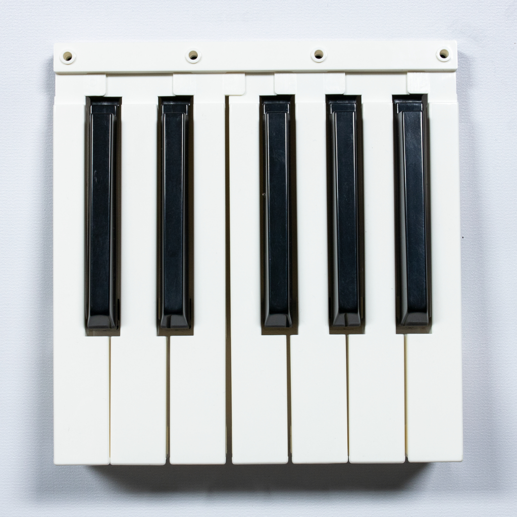 Bộ phím, bàn phím đàn Organ Keyboard - Kzm Kurtzman KK150 - Dành cho model K150, bộ 12 phím (7 ...