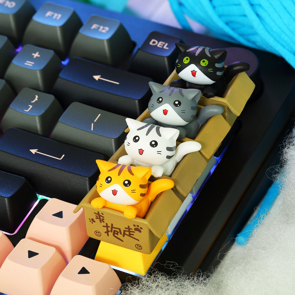 Keycap mèo trong hộp dễ thương phiên bản đặc biệt, keycap cho bàn phím ...