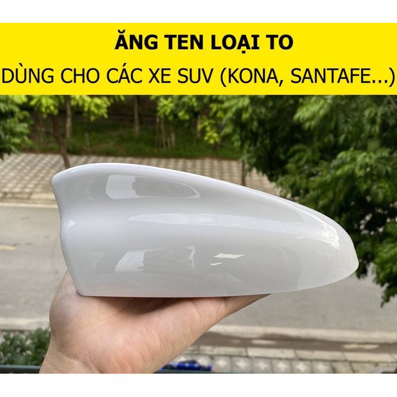 Vây cá Ăngten bản to TERRITORY, SANTAPHE, KONA, TUCSON. . . | Shopee ...