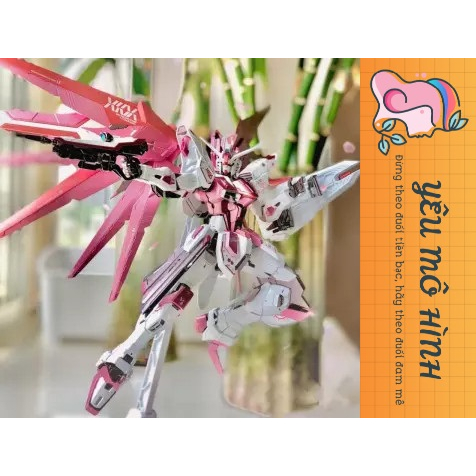 [Limited Edition] Gundam HG Freedom Sakura Fighter Tặng kèm base trưng ...