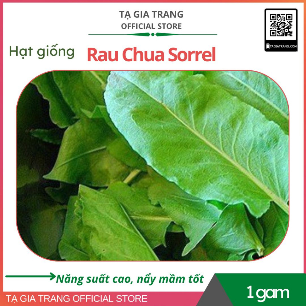 Hạt giống Rau Chua Sorrel | Shopee Việt Nam
