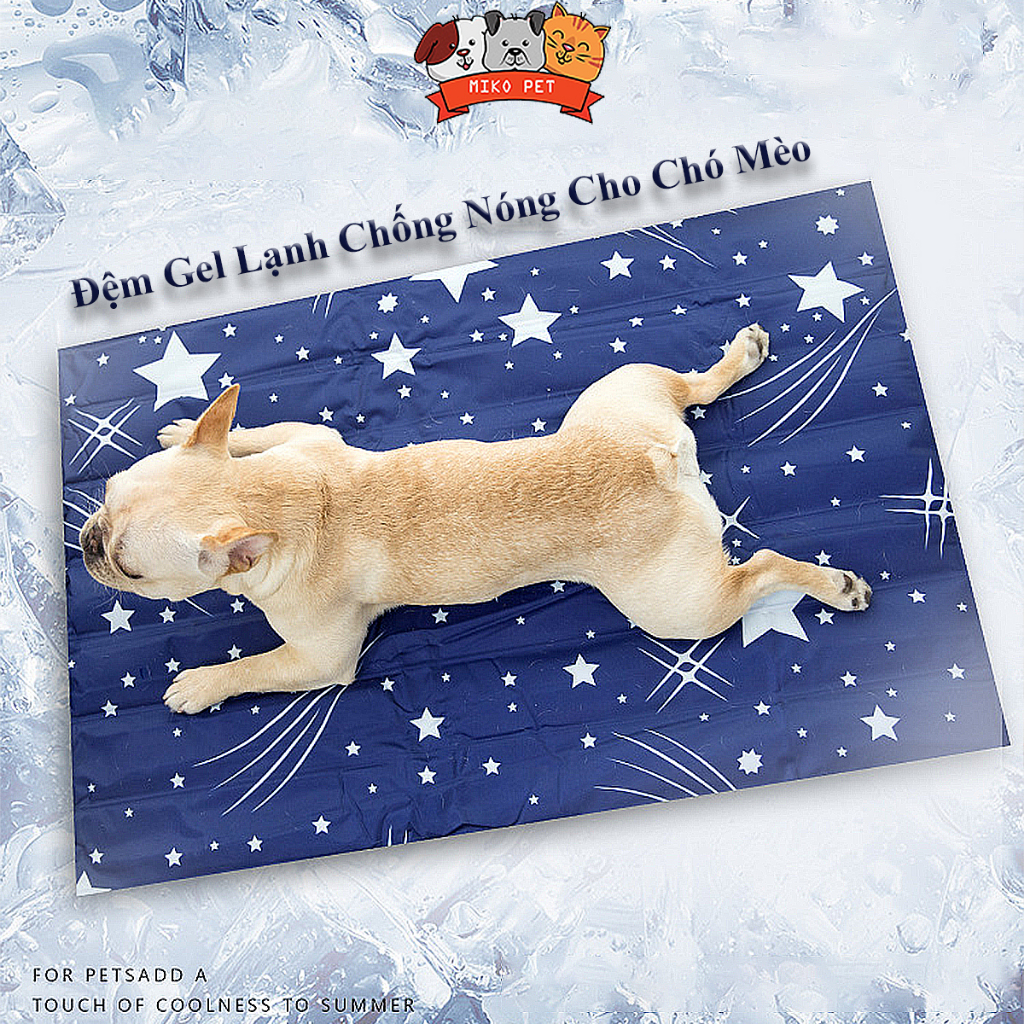 Đệm Gel Lạnh Làm Mát Chỗ Nằm Cho Chó Mèo. Thảm Lạnh Chất Liệu Chống ...