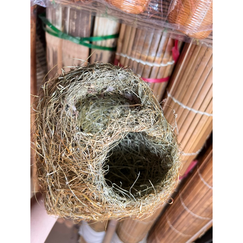 tổ chim dòng dọc | Shopee Việt Nam