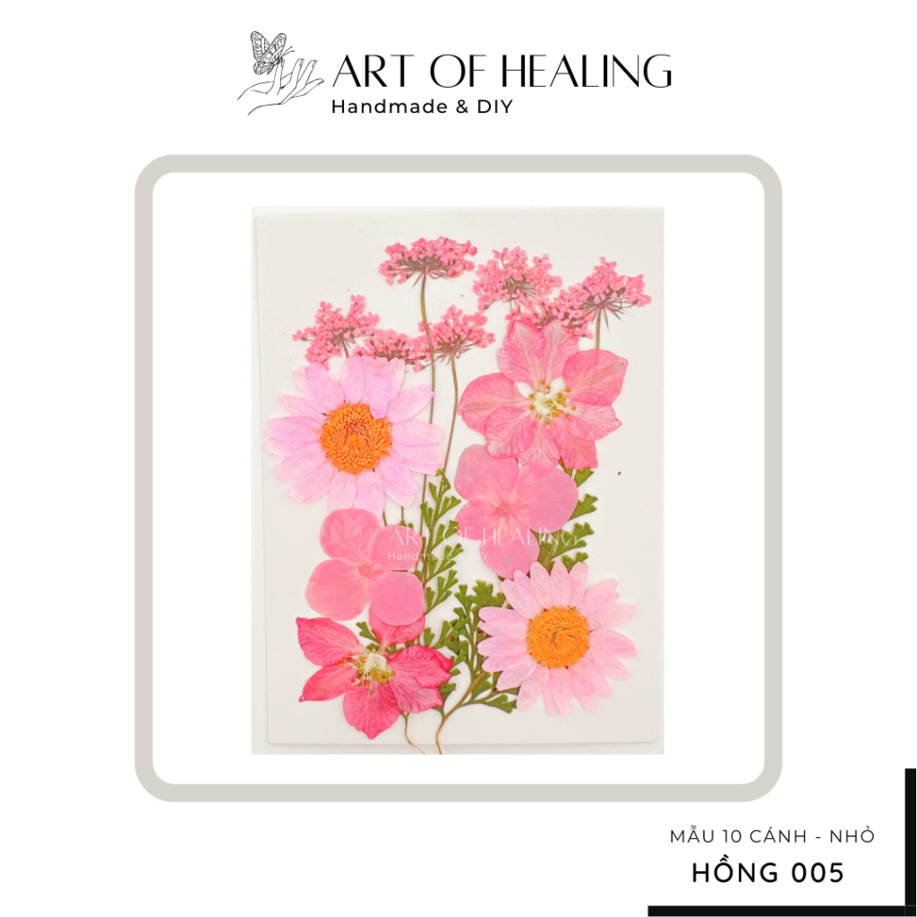 [AOH - Art of Healing] Set hoa ép khô các loại trang trí nến, resin, sổ ...
