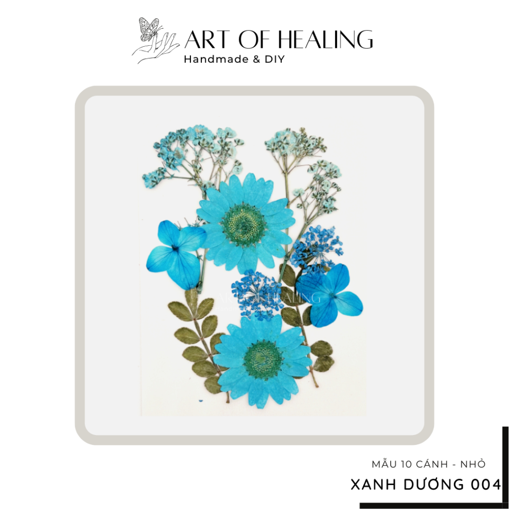 [AOH - Art of Healing] Set hoa ép khô các loại trang trí nến, resin, sổ ...