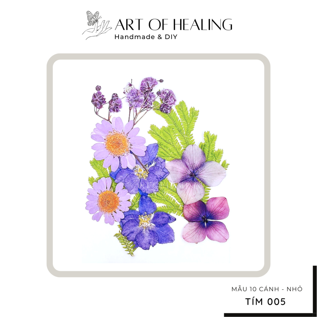 [AOH - Art of Healing] Set hoa ép khô các loại trang trí nến, resin, sổ ...