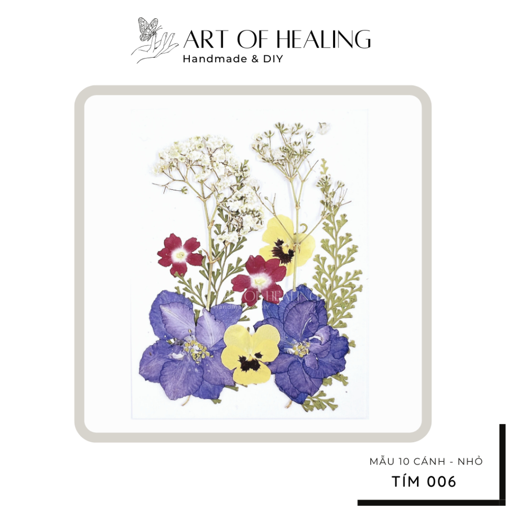 [AOH - Art of Healing] Set hoa ép khô các loại trang trí nến, resin, sổ ...