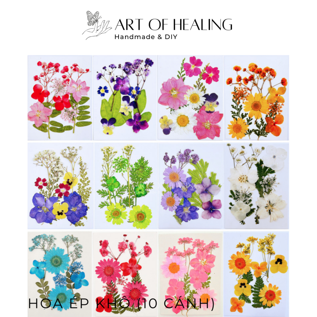 [AOH - Art of Healing] Set hoa ép khô các loại trang trí nến, resin, sổ ...