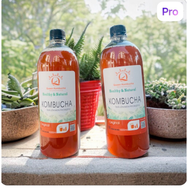 QueenKombucha | Shopee Việt Nam
