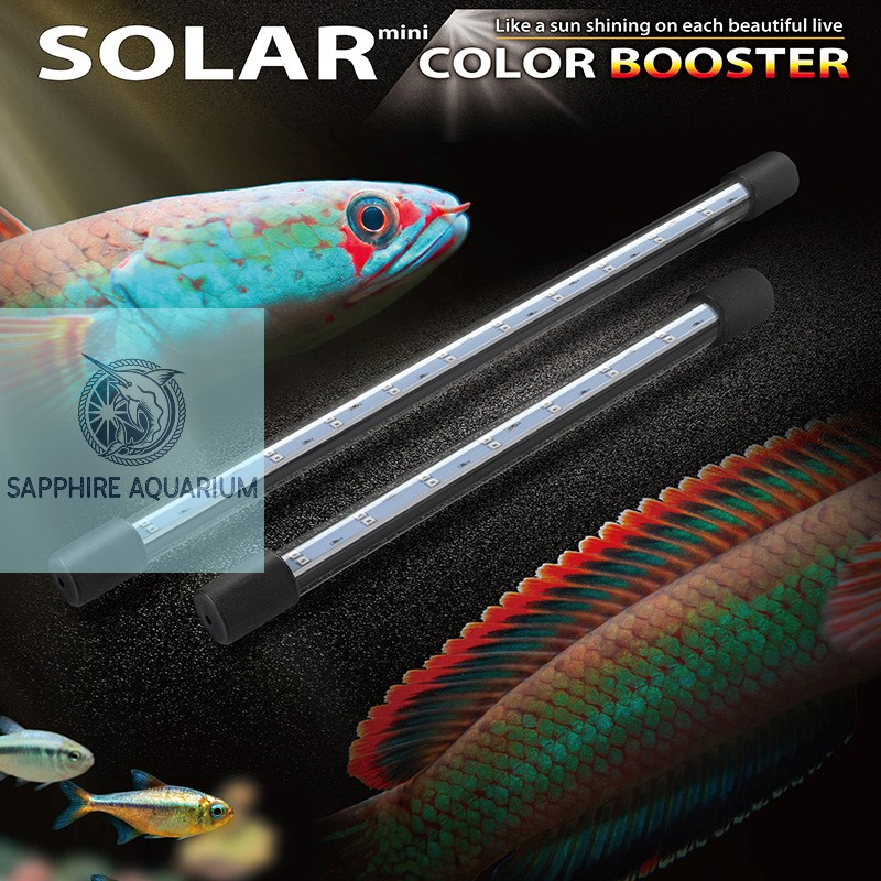 Đèn Led RGB Cho Cá Lóc, Cá Rồng, Cá Vàng Neo-Helios Solar Color Booster ...