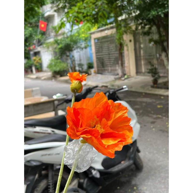 Hoa giả Hoa Poppy giả-hoa Anh Túc cỡ lớn, size 15cm,cành dài 109cm ...