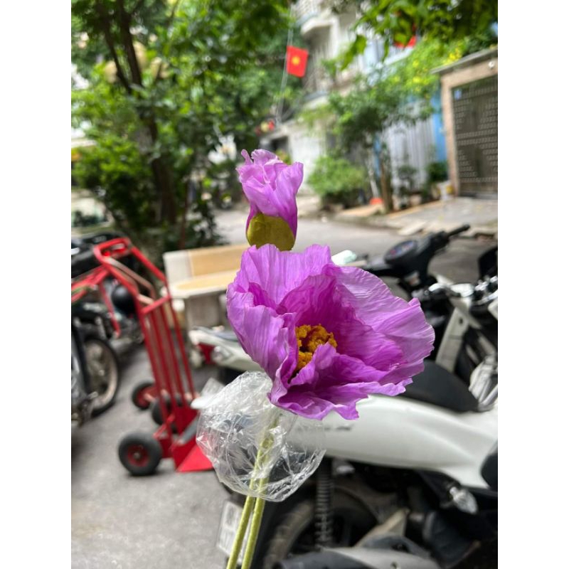 Hoa giả Hoa Poppy giả-hoa Anh Túc cỡ lớn, size 15cm,cành dài 109cm ...
