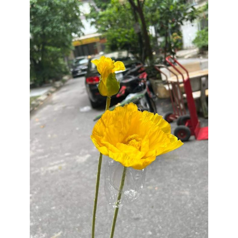 Hoa giả Hoa Poppy giả-hoa Anh Túc cỡ lớn, size 15cm,cành dài 109cm ...