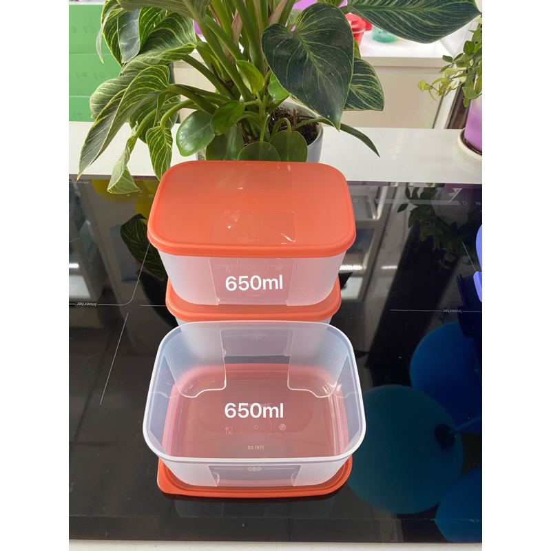 Combo 3 hộp trữ đông tupperware 650ml năp màu (3 hộp) hàng chính hãng ...