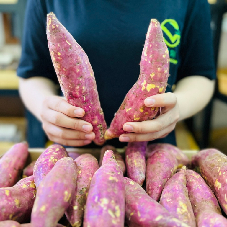 VG FARM Khoai Lang Nhật Đà Lạt Lâm Đồng | Shopee Việt Nam