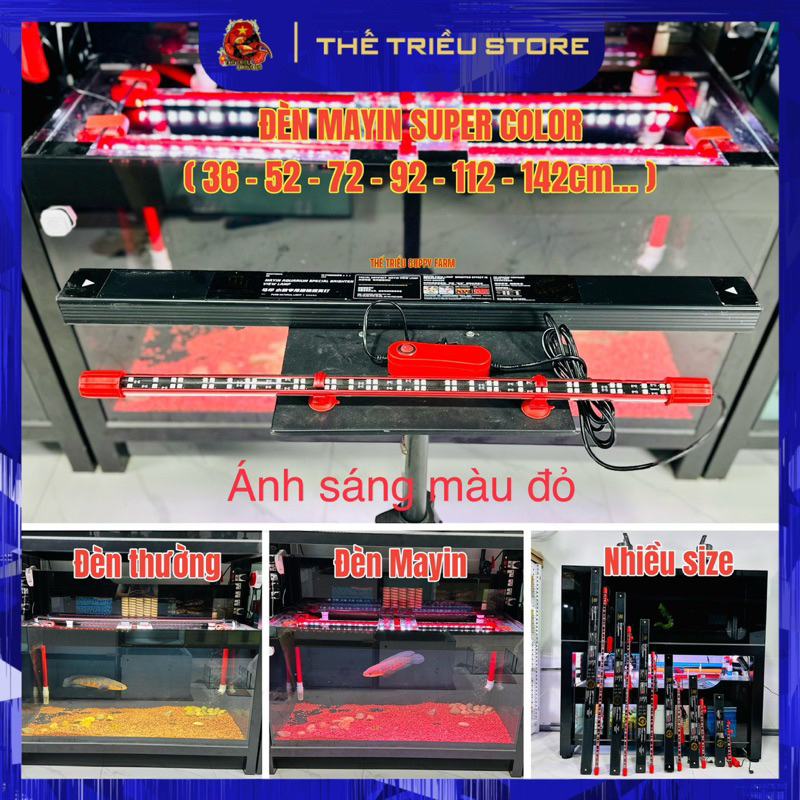 Đèn led Mayin super colour. Đỏ cá không đỏ nước cho “Cá rồng, cá vàng, cá lóc… 36cm 52cm 72cm ...