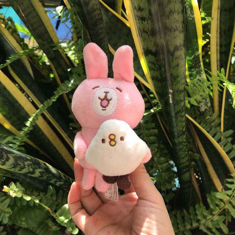 Gấu bông vịt Piske & thỏ hồng Usagi (2hand) | Shopee Việt Nam