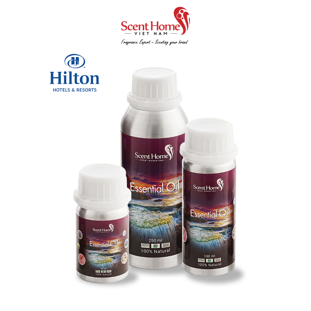 [Chính hãng] Tinh dầu Hilton Hotel - Scent Homes (Hilton Hotel - 50ml,100ml,250ml) | Shopee Việt Nam